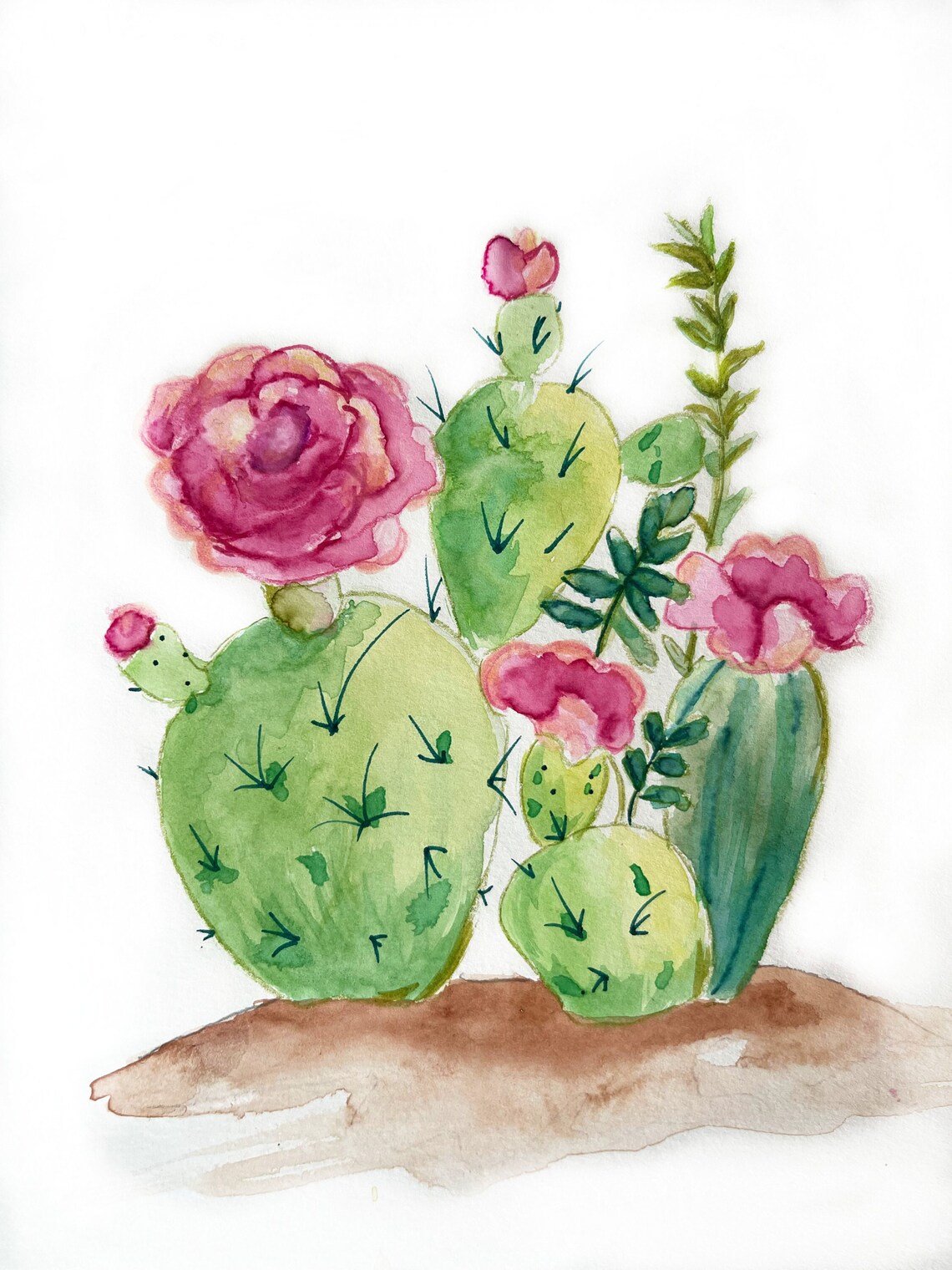 Watercolor Cactus Blooms - Etsy