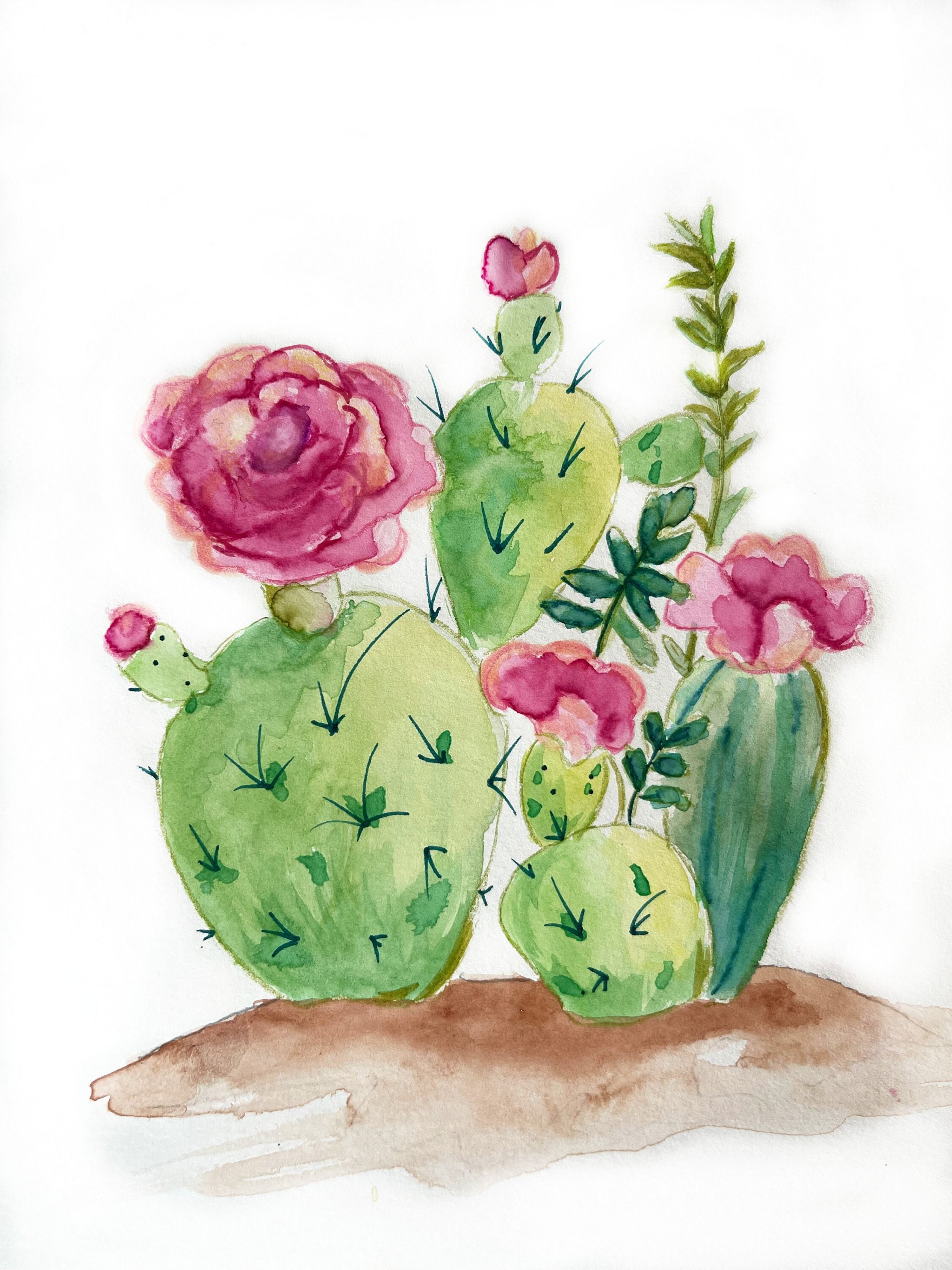 Watercolor Cactus Blooms - Etsy