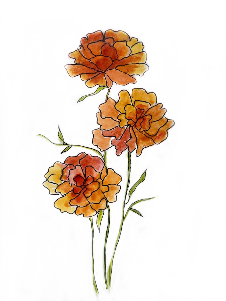 Marigold Watercolor Print - Etsy