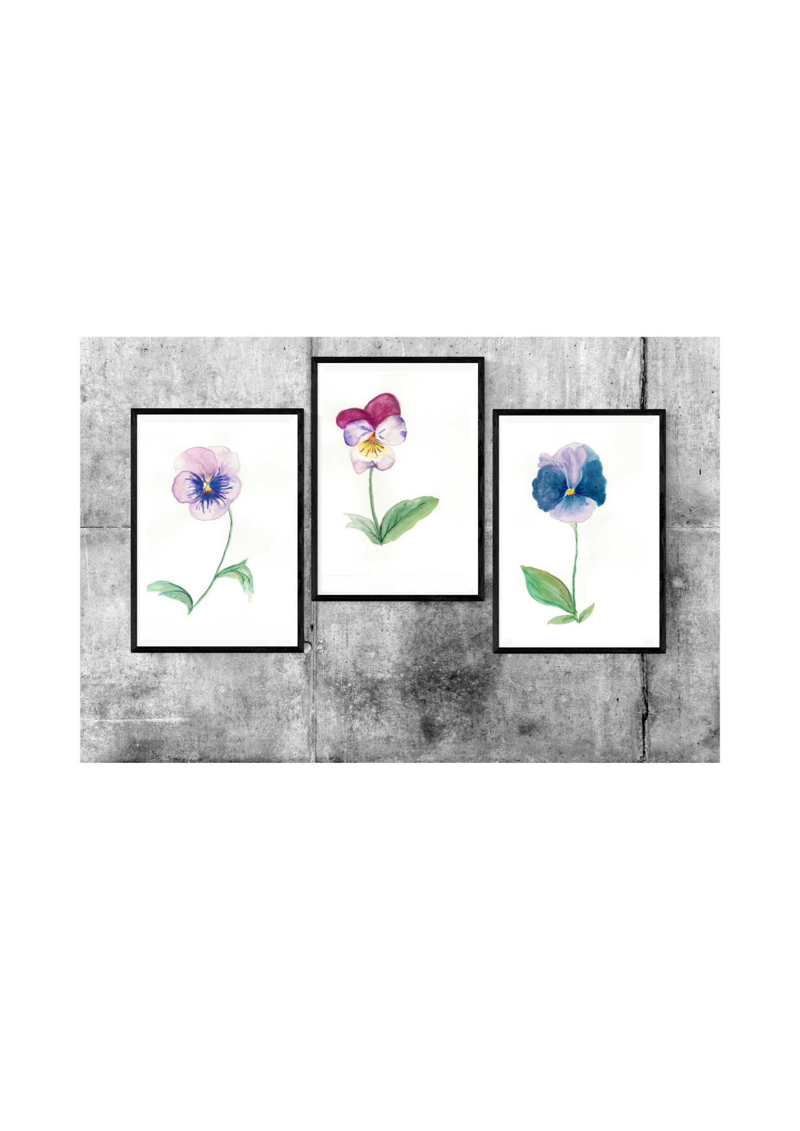 Watercolor Pansy Prints Bundle - Etsy