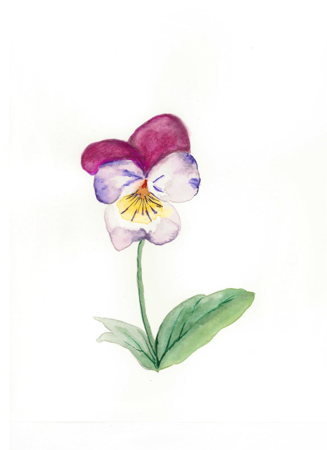 Watercolor Pansy Prints Bundle - Etsy