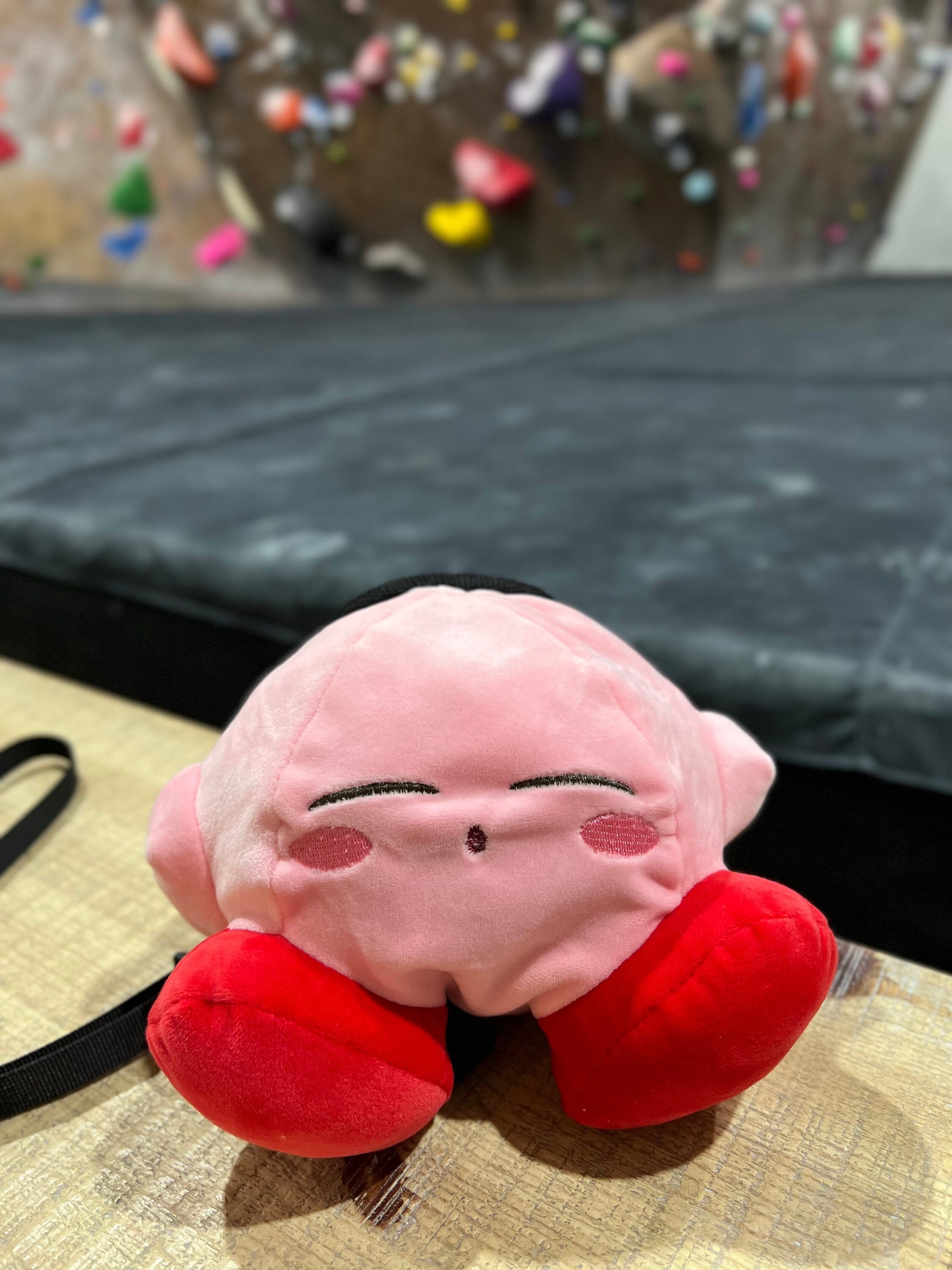 Sleeping Kirby Chalk Bag - Etsy
