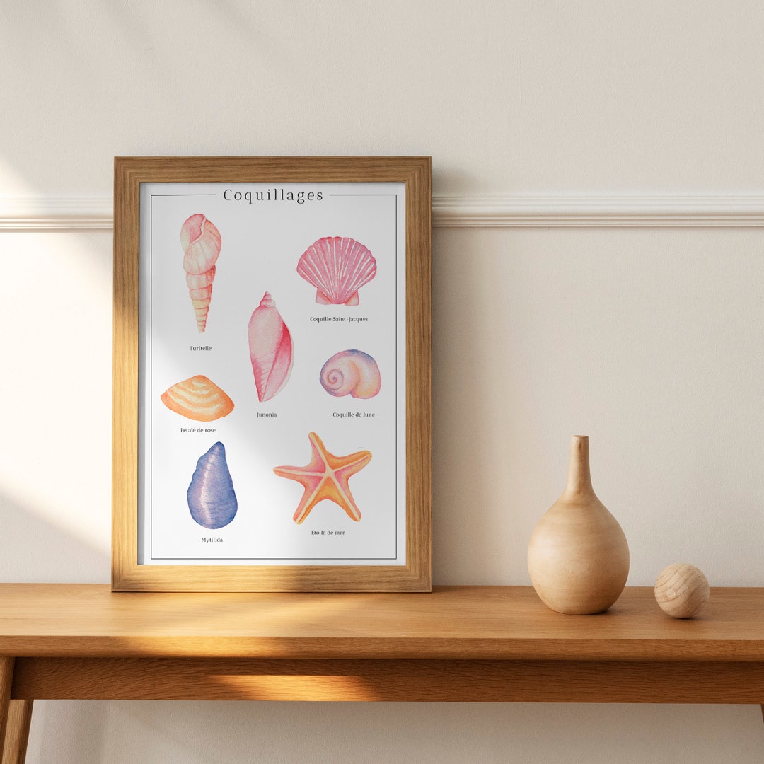 Botanical Poster Shells Sea Art // Watercolor Vintage - Etsy