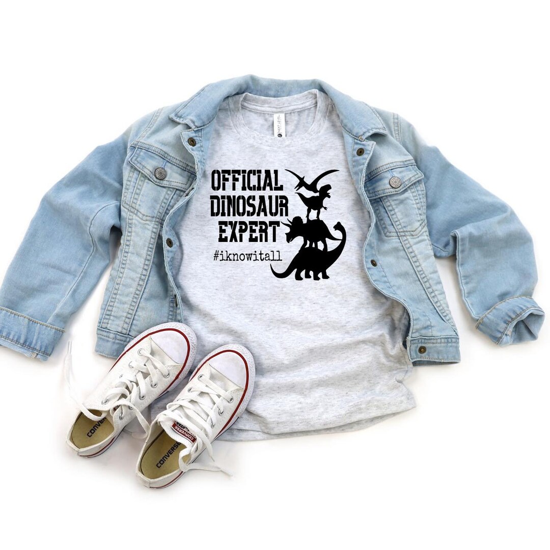 Official Dino Expert Shirt, Playground Apparel, Back to School Clothes ...