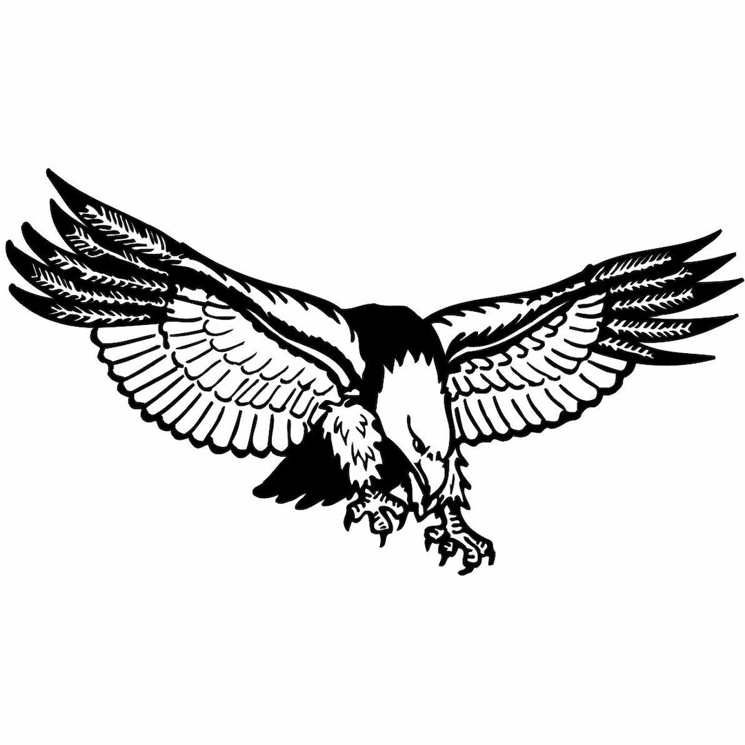Sticker Bald Eagle Griffin Motorhome, Van Car, Design Styling, Camping ...