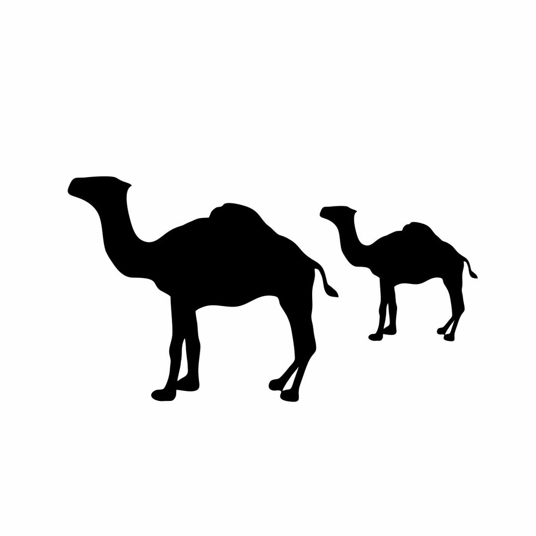Car Sticker Camels Caravan Camel Bike & Car Style Many Colors ...