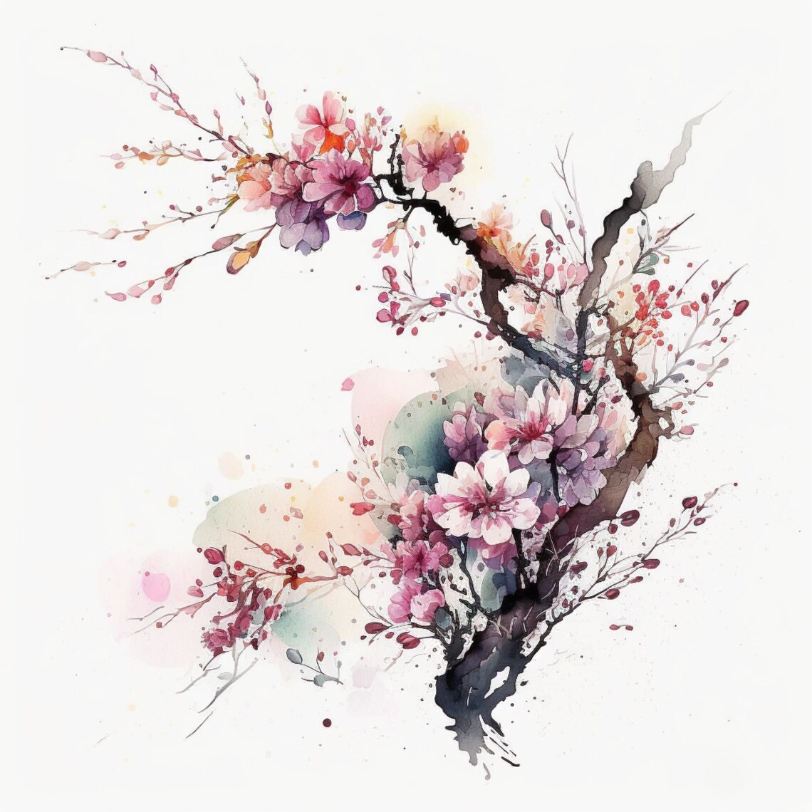 Sakura Watercolor Floral PNG Delicate Cherry Blossom Design - Etsy
