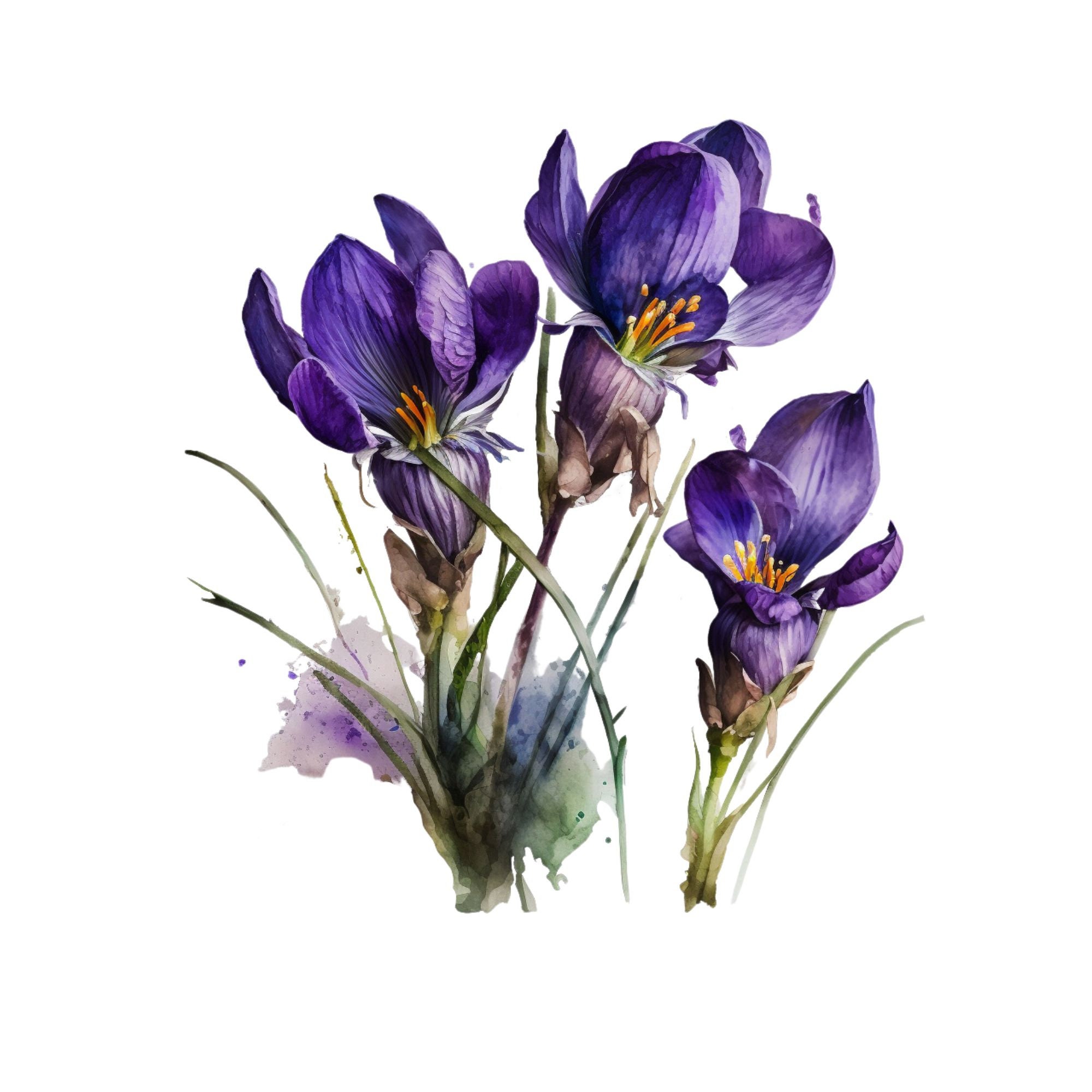 Trio Purple Flower Watercolor PNG - Elegant Design for Invitations ...