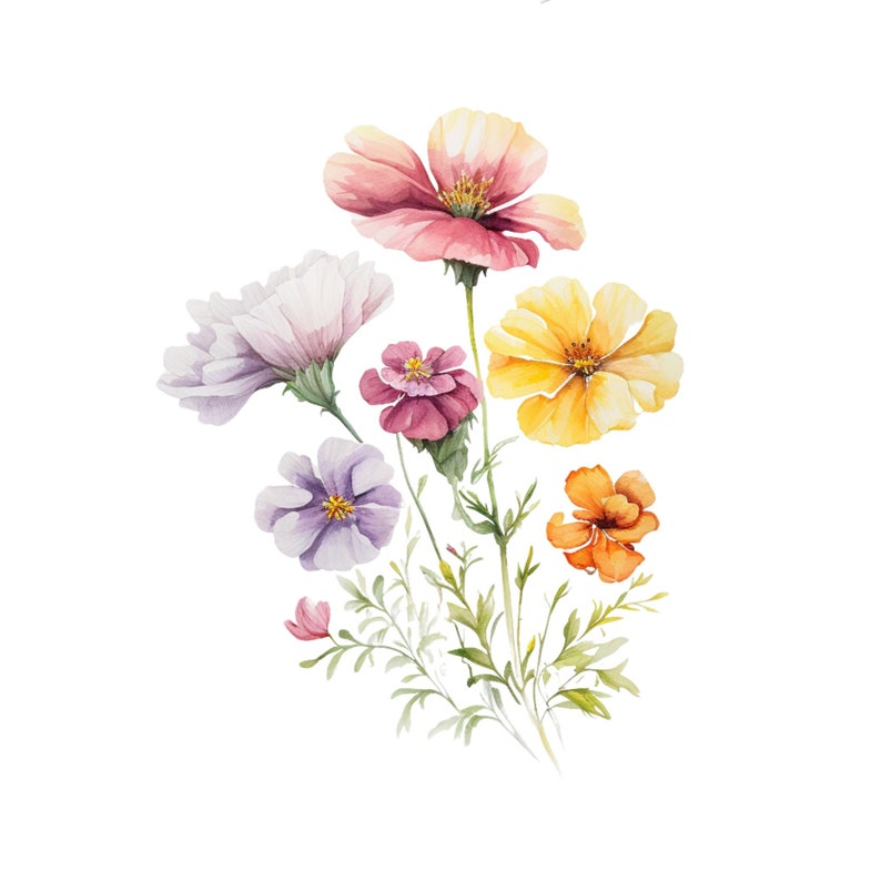Watercolor Flower Collection PNG - Painted Blooms - Perfect for ...