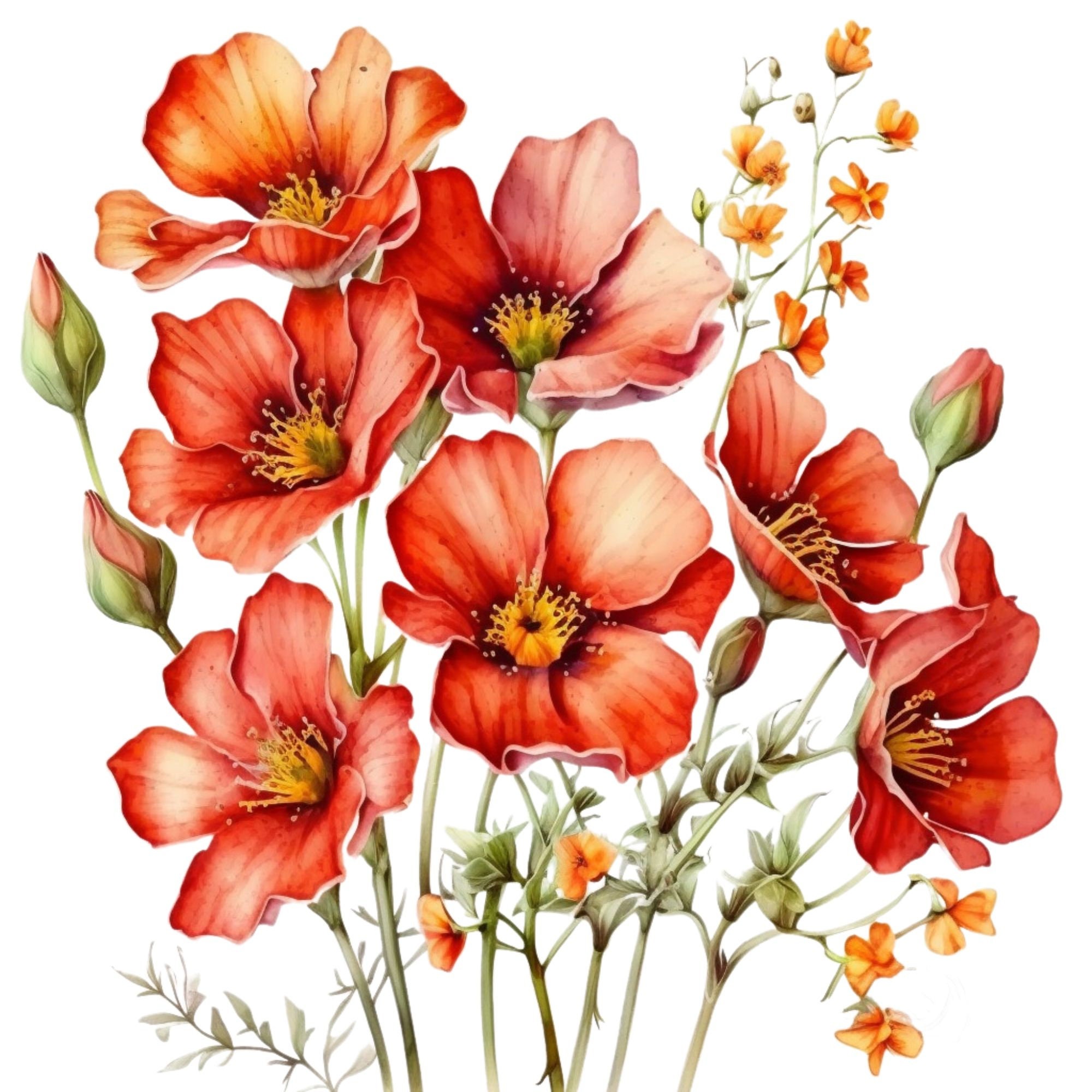 Bundle of Red Flowers Watercolor PNG - Elegant Design for Invitations ...