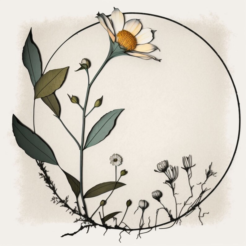 Floral Circle Border PNG Elegant Blooms Design Perfect for - Etsy