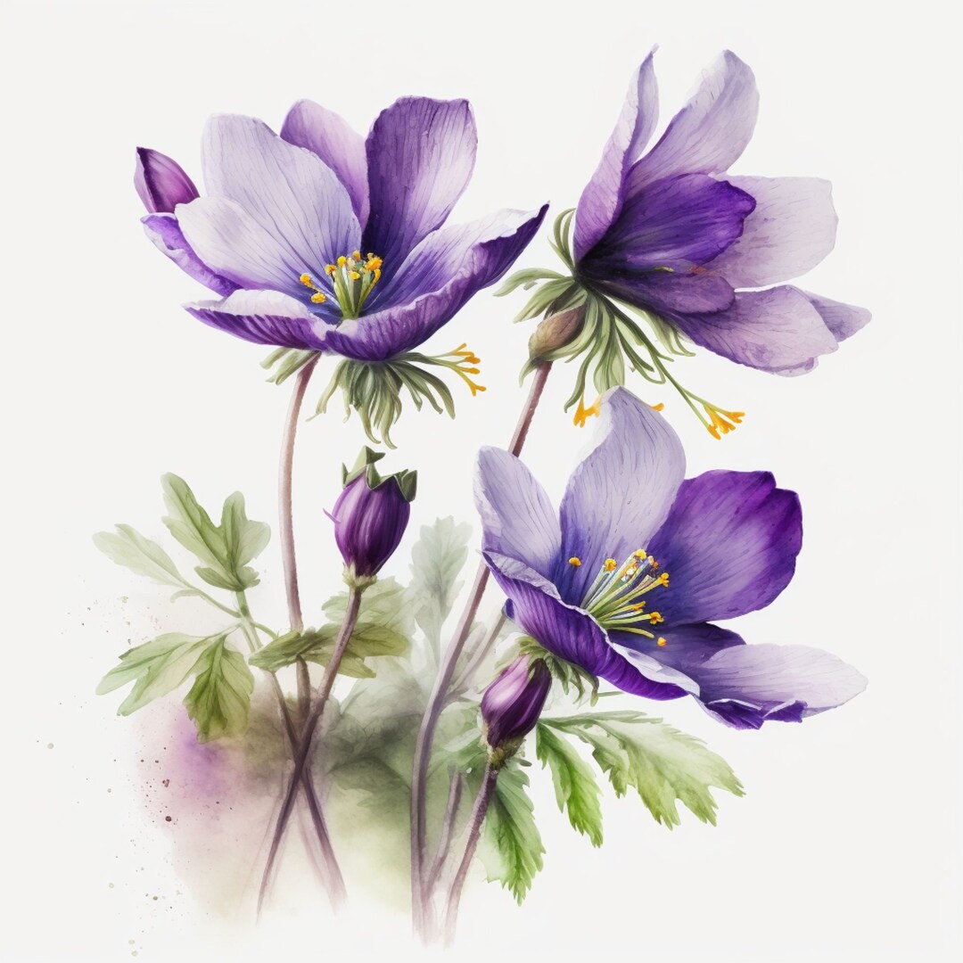 Trio Purple Flower Watercolor PNG - Elegant Design for Invitations ...