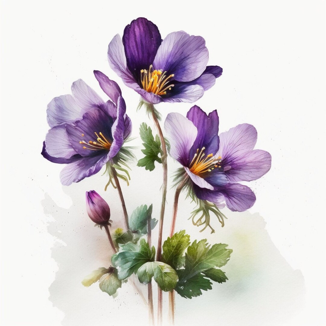 Trio Purple Flower Watercolor PNG - Elegant Design for Invitations ...
