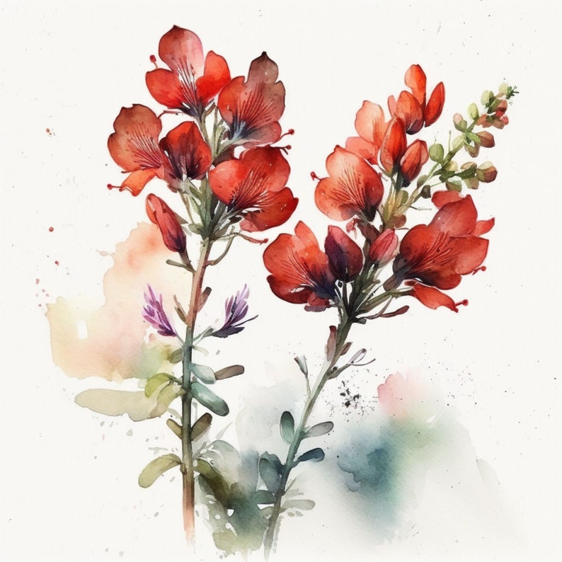 Duo Red Flowers Watercolor PNG Elegant Design for - Etsy
