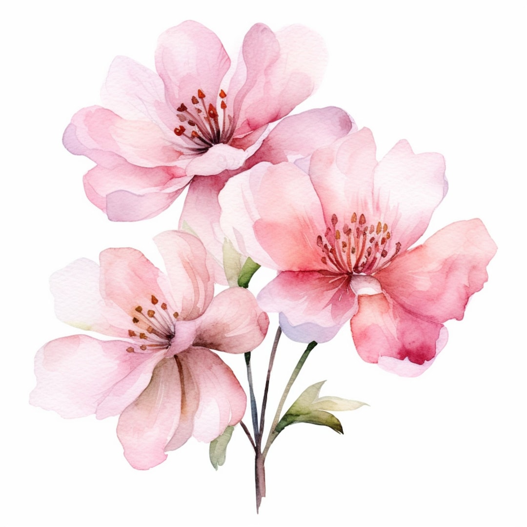 Three Pink Flowers Watercolor PNG - Elegant Design for Invitations ...