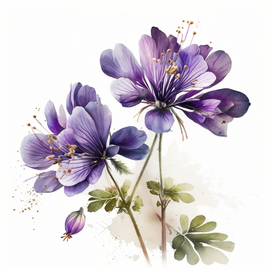 Duo Purple Flower Watercolor PNG - Elegant Design for Invitations ...