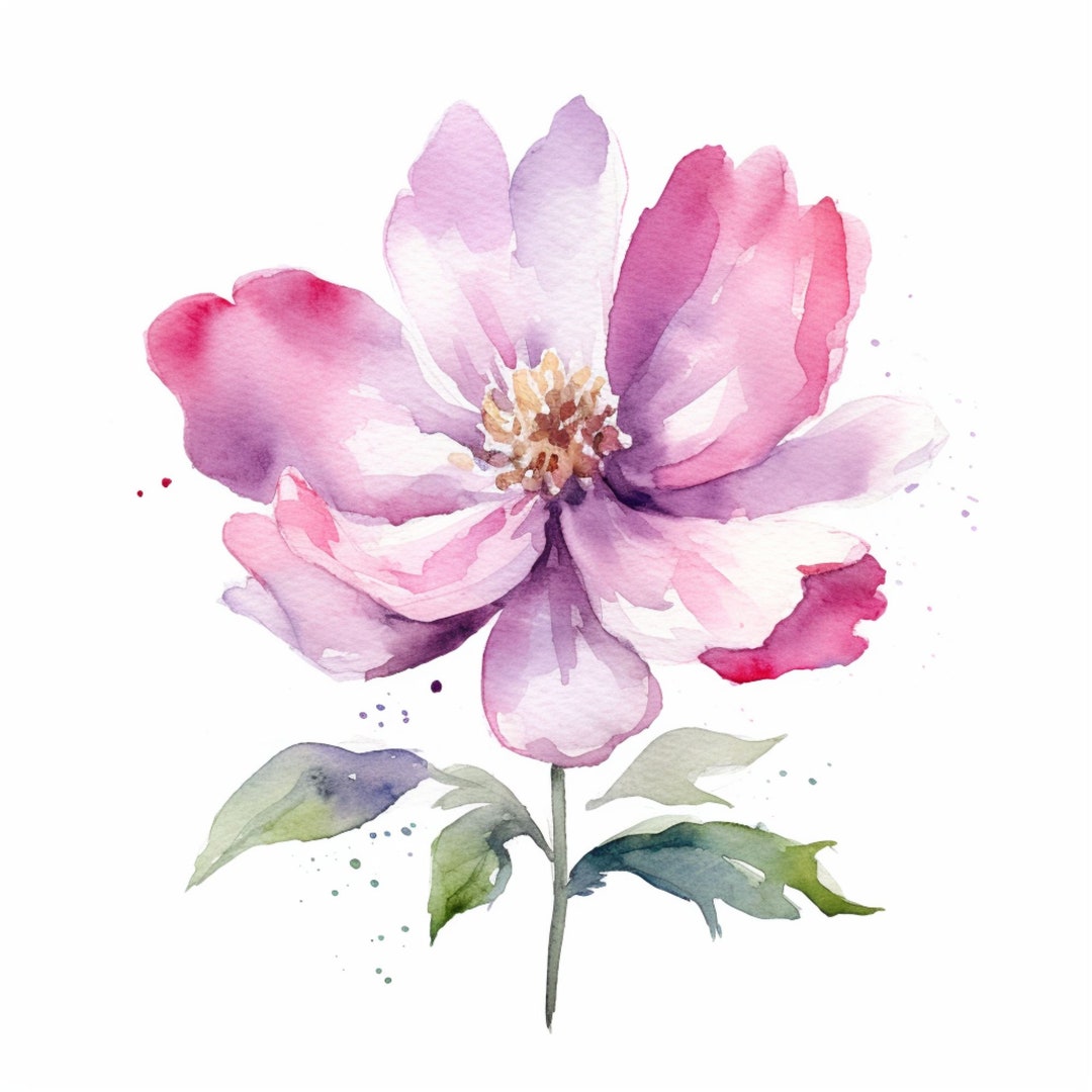 Solo Delicate Pink Flower Watercolor PNG - Elegant Design for ...