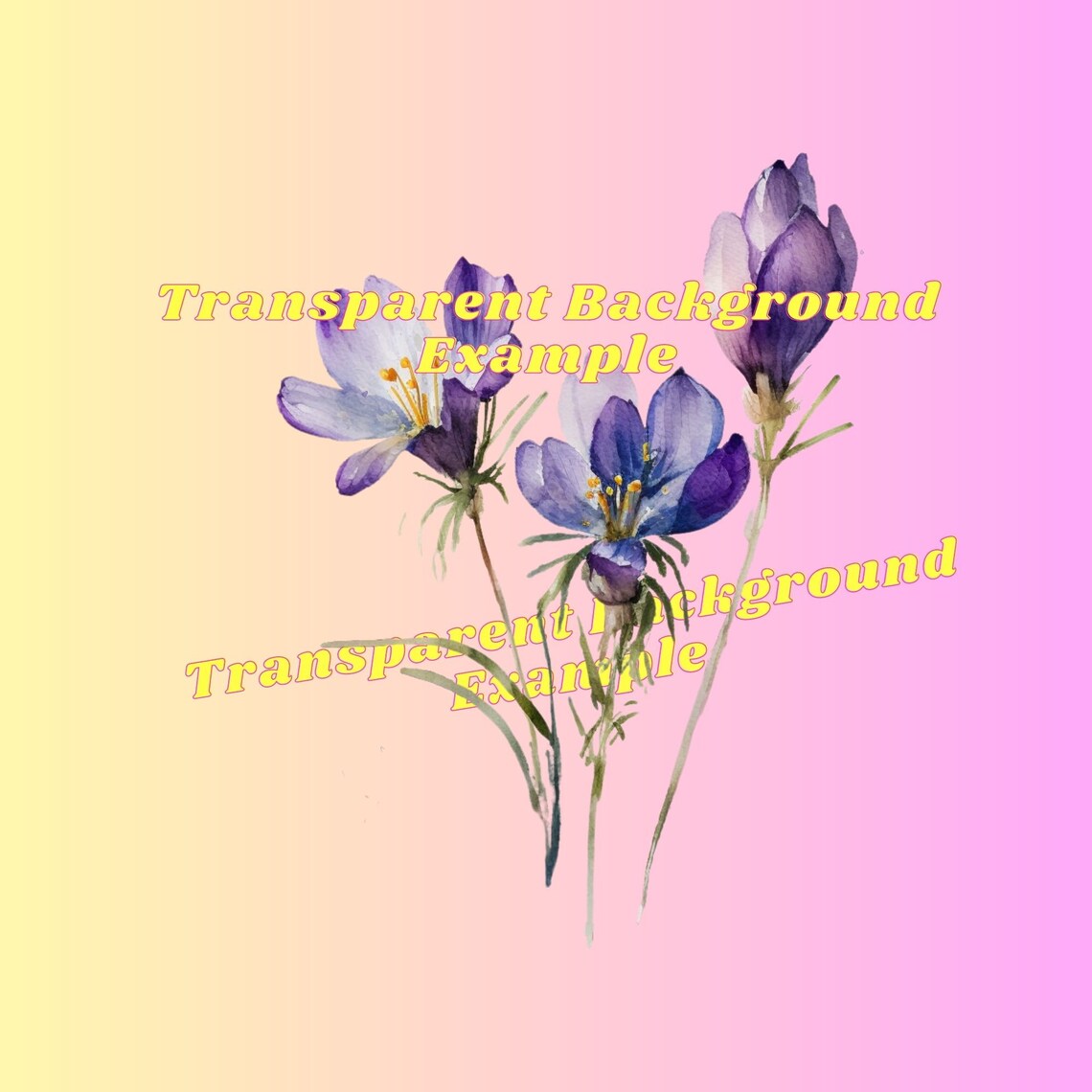 Trio Purple Flower Watercolor PNG - Elegant Design for Invitations ...