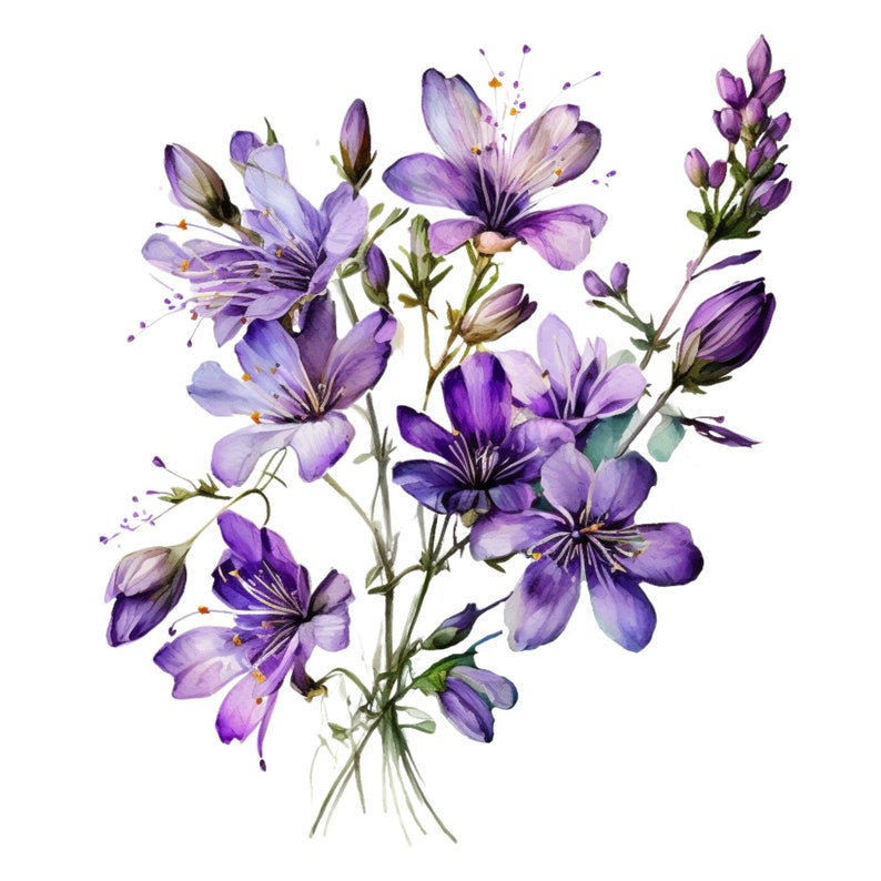 Bundle of Purple Flower Watercolor PNG - Elegant Design for Invitations ...