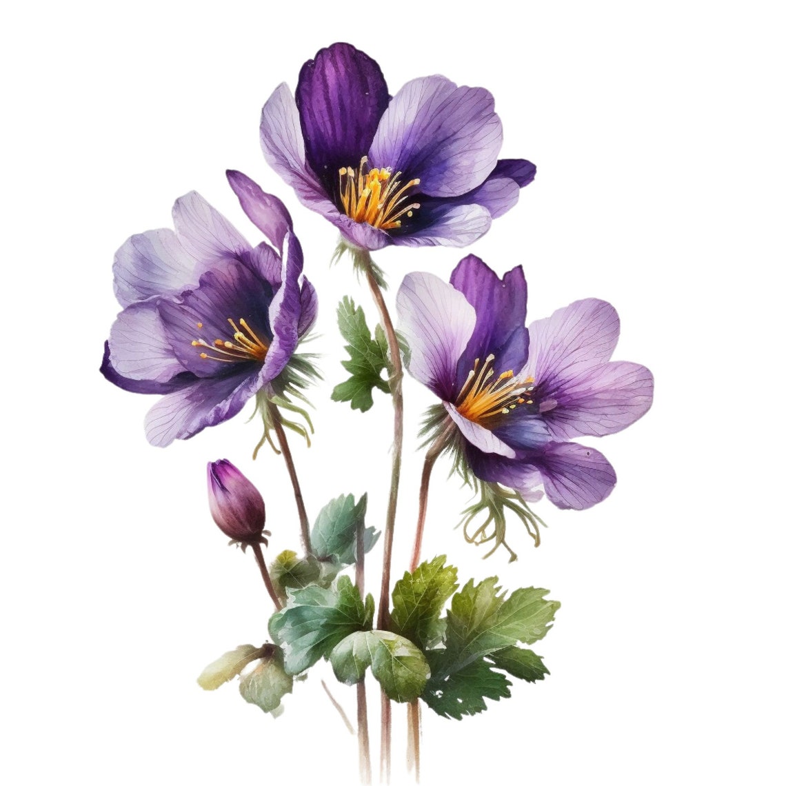 Trio Purple Flower Watercolor PNG - Elegant Design for Invitations ...