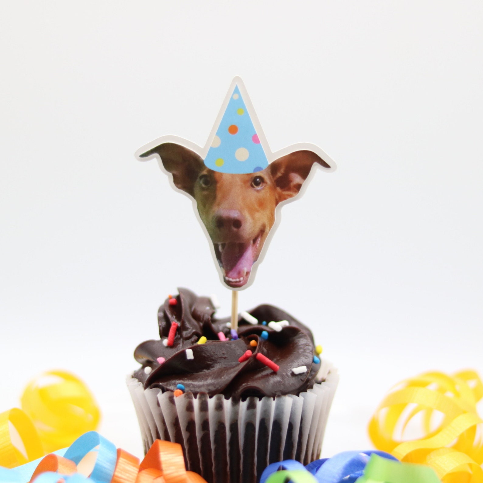 Custom Dog Photo Cupcake Toppers Personalize Pet Photo - Etsy