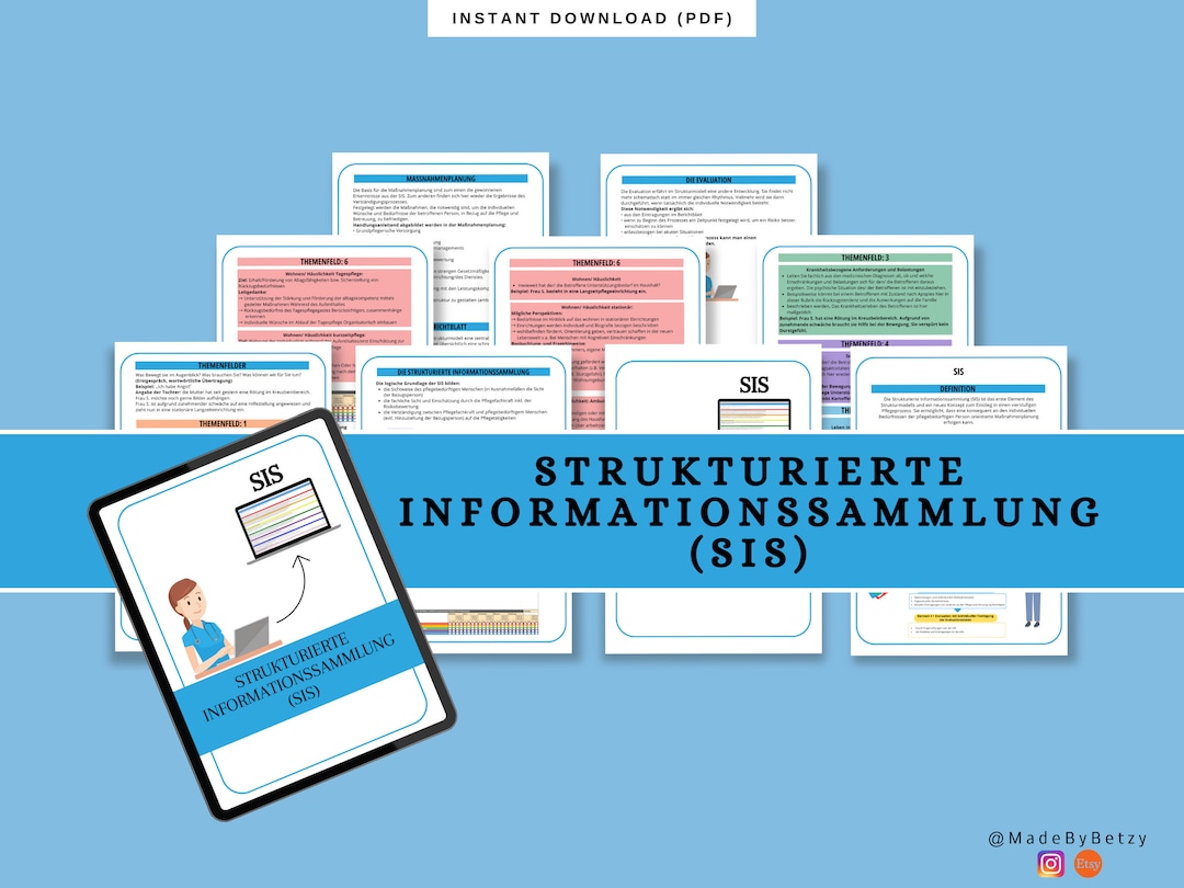 SIS (strukturierte Informationssammlung) Lernzettel Pflegetraining ...