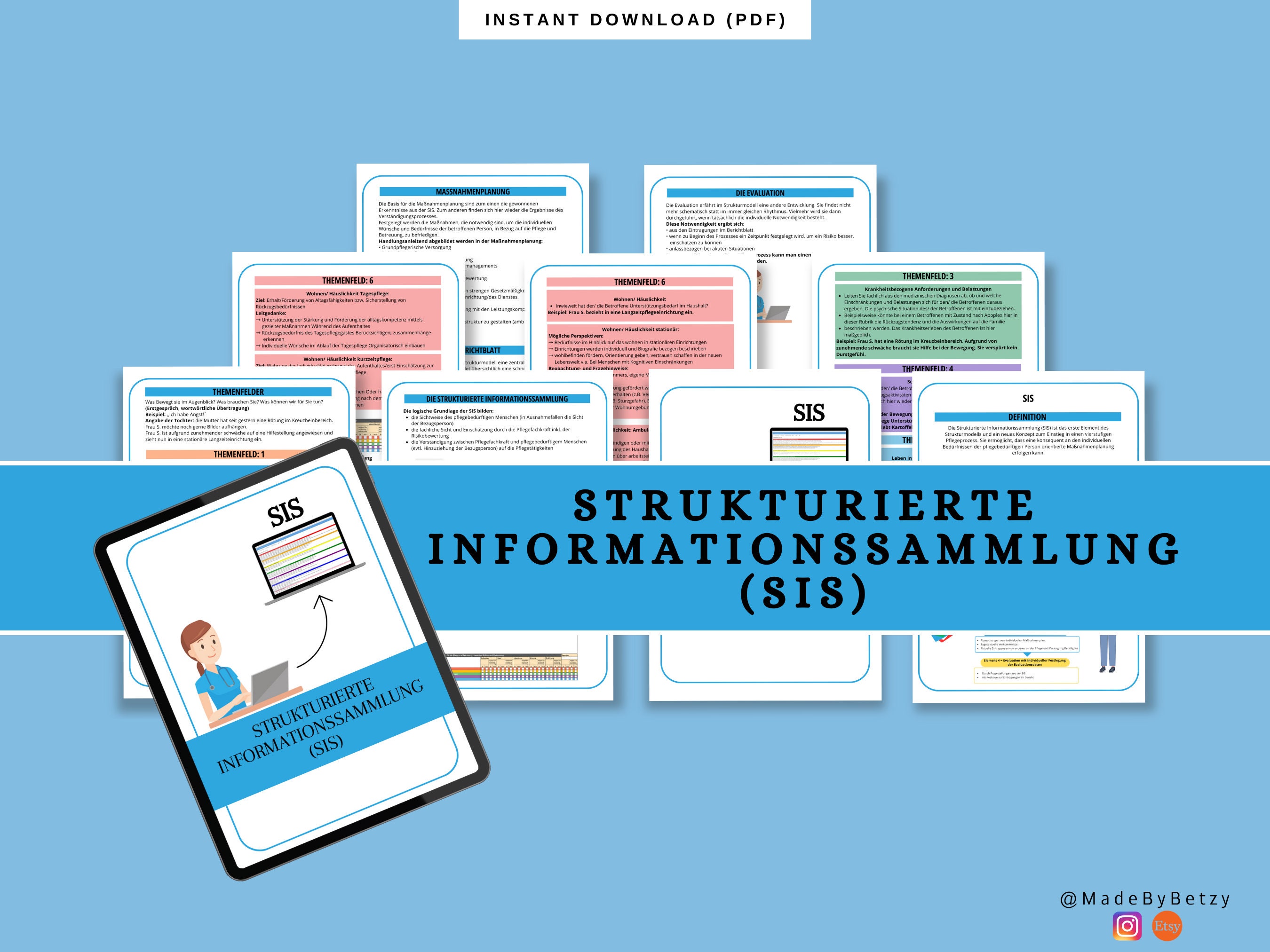 SIS (strukturierte Informationssammlung) Lernzettel Pflegetraining ...