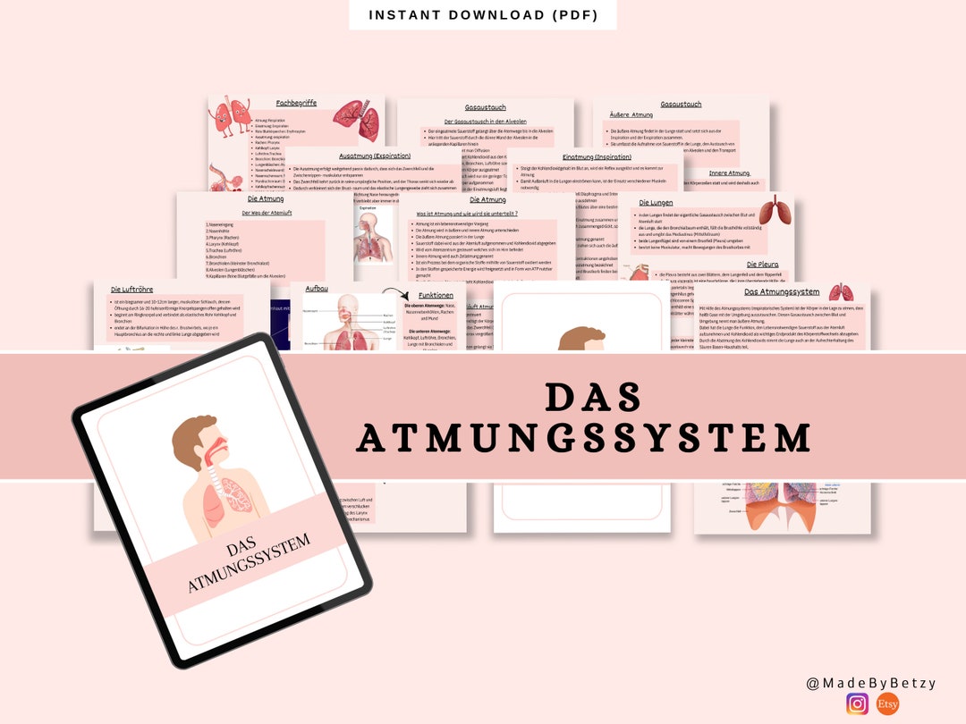 Atmungssystem Lernzettel Pflegeausbildung Zusammenfassung - Etsy