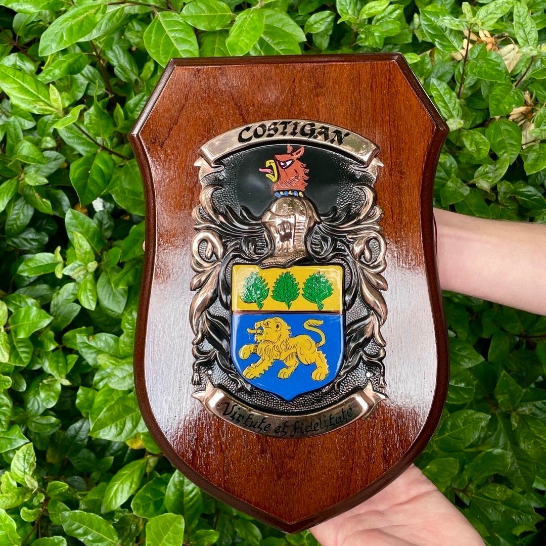Irish Family Crest Shield Large - Etsy