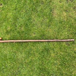 Hazel Walking Stick - Etsy