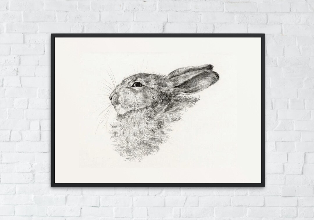 Vintage Bunny Drawing, Printable Rabbit Wall Art, Farmhouse Rabbit ...