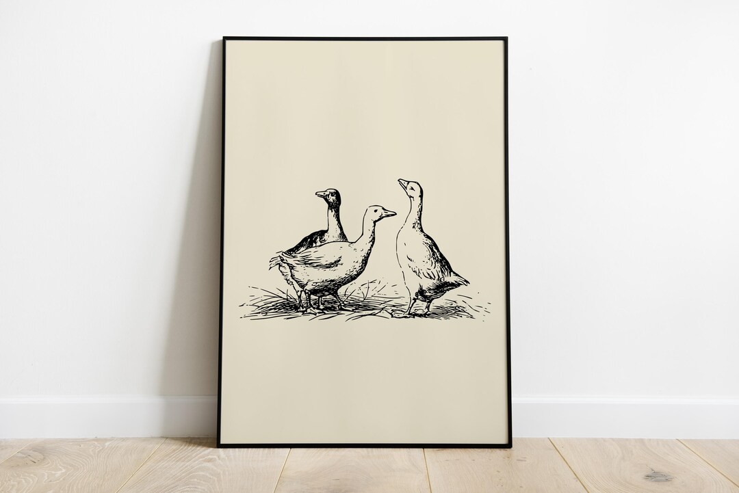 Printable Goose Art, Nursery Animal Illustration, Three Geese Drawing ...