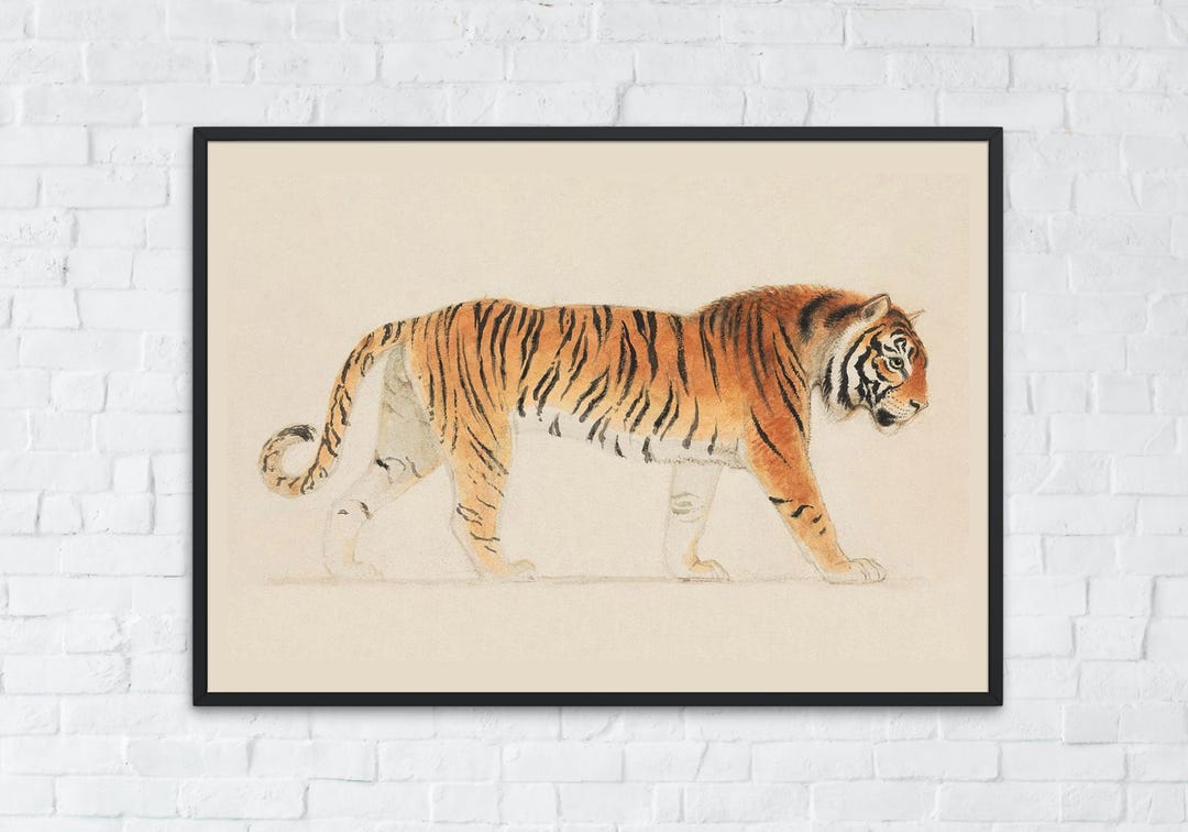Printable Tiger Art, Vintage Big Cat Painting, Thomas Stothard Jungle ...
