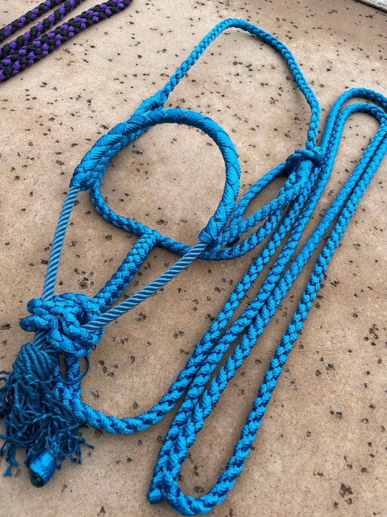 Mule Tape Horse Halter With Rope Noseband - Etsy