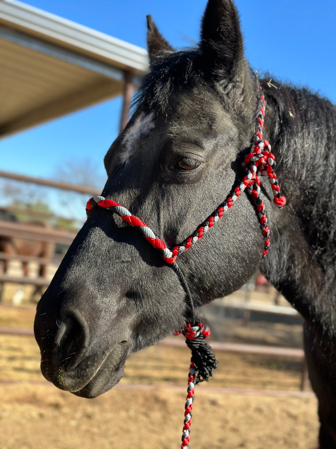 Red Black and Grey Mule Tape Horse Halter - Etsy