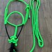 Neon Lime Green Mule Tape Horse Halter With Rope Noseband - Etsy