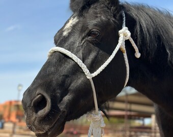 Neon Lime Green Mule Tape Horse Halter With Rope Noseband - Etsy