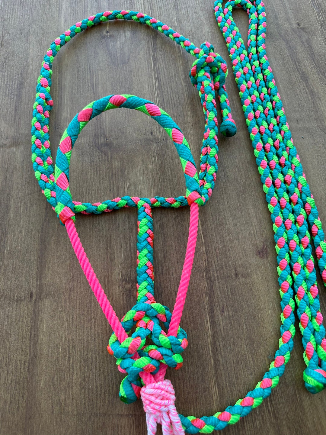 Turquoise Pink and Lime Mule Tape Horse Halter With Rope Noseband - Etsy