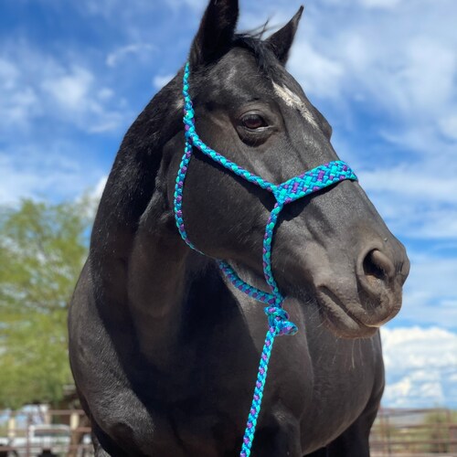 Green Mule Tape Halter - Etsy
