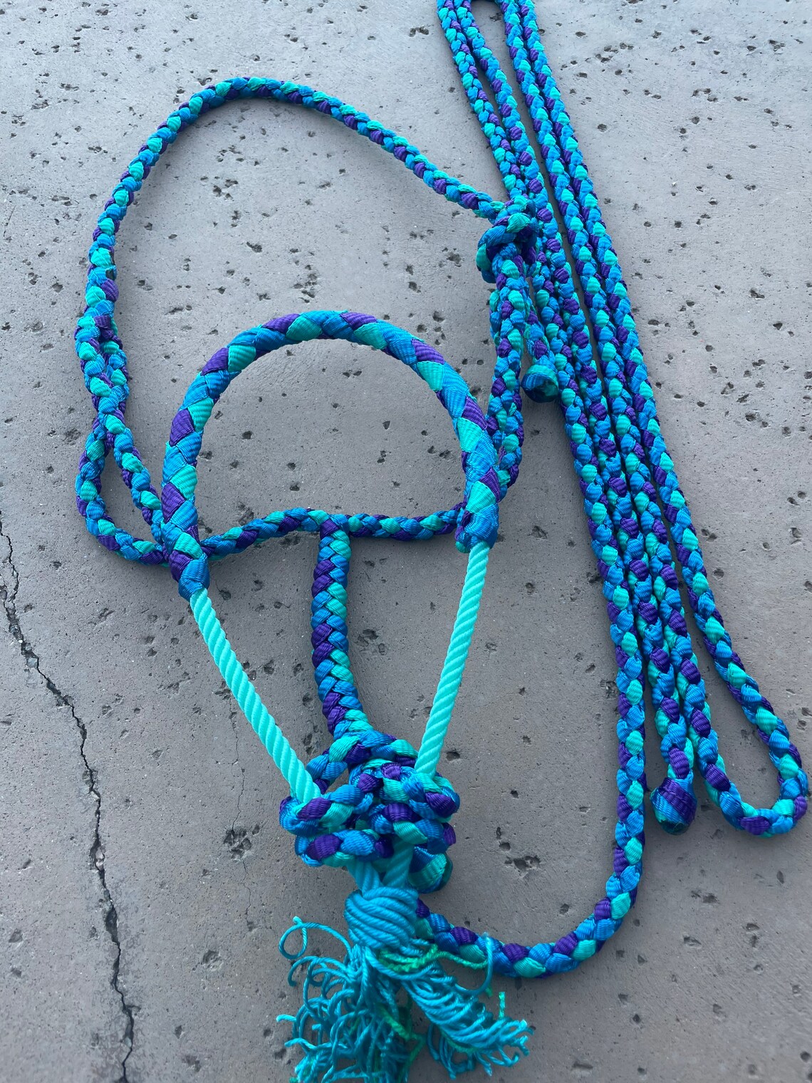 Mule Tape Horse Halter With Rope Noseband - Etsy