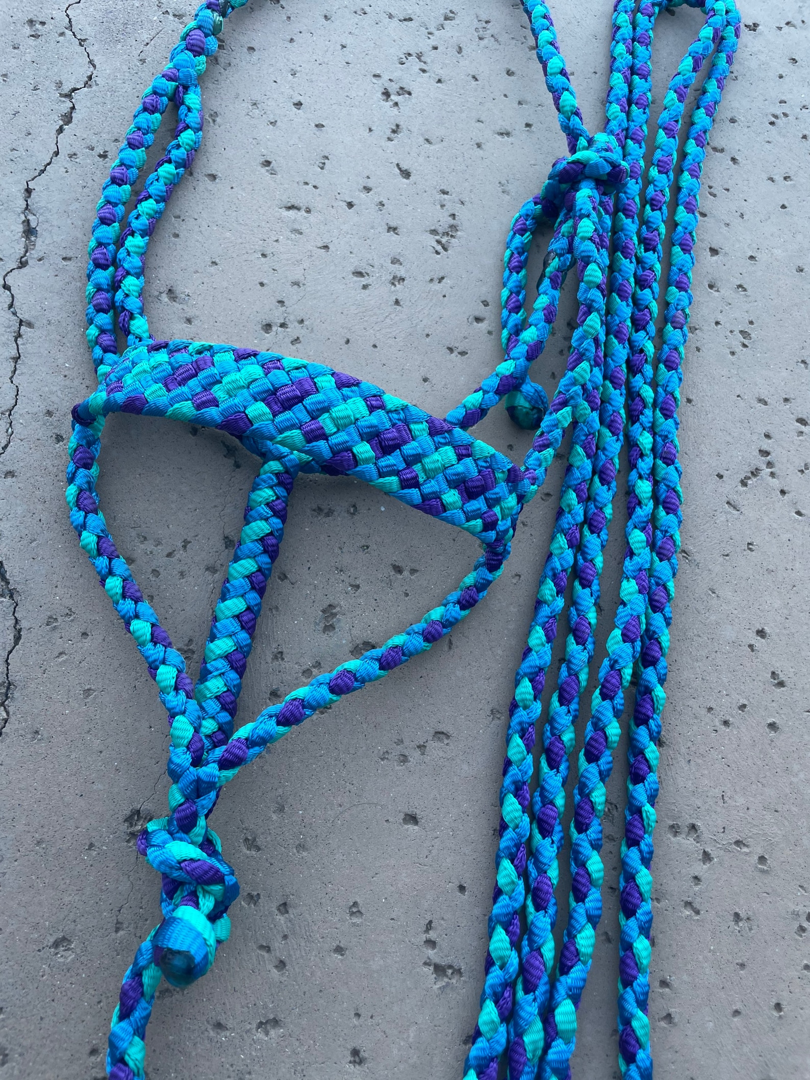 Mule Tape Horse Halter With Rope Noseband - Etsy