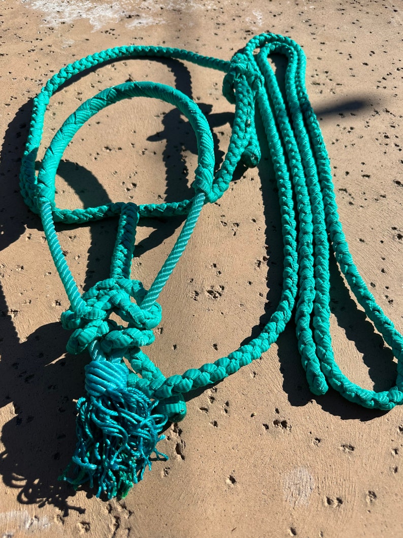 Mule Tape Horse Halter With Rope Noseband - Etsy