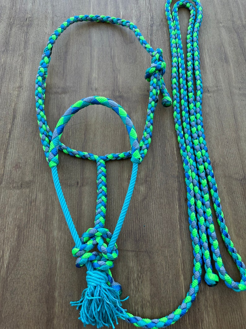 Lime Green and Turquoise Mule Tape Horse Halter With Rope - Etsy