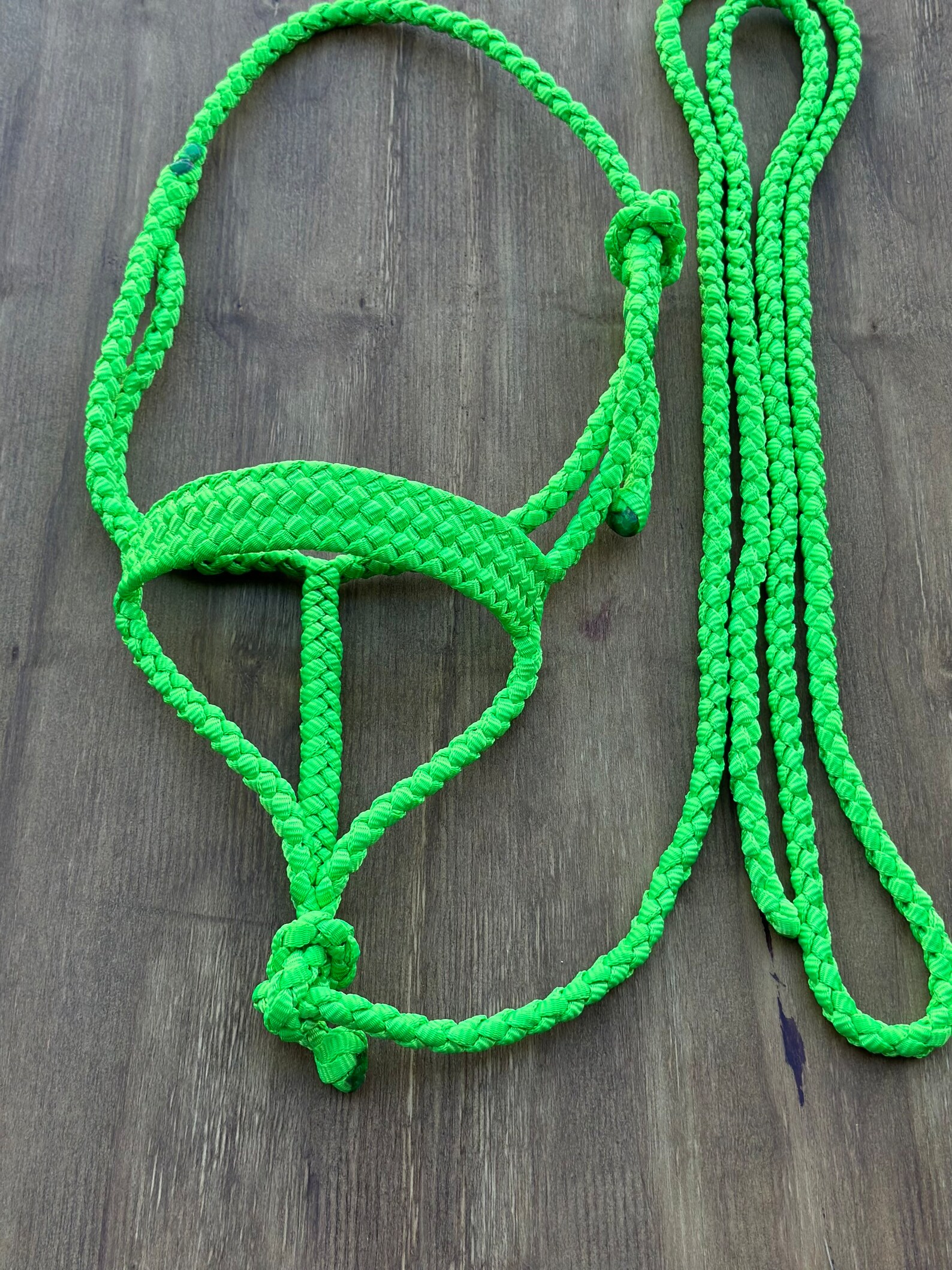 Neon Lime Green Mule Tape Horse Halter With Rope Noseband - Etsy