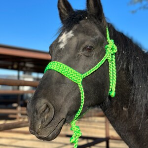 Neon Lime Green Mule Tape Horse Halter With Rope Noseband - Etsy