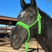 Neon Lime Green Mule Tape Horse Halter With Rope Noseband - Etsy