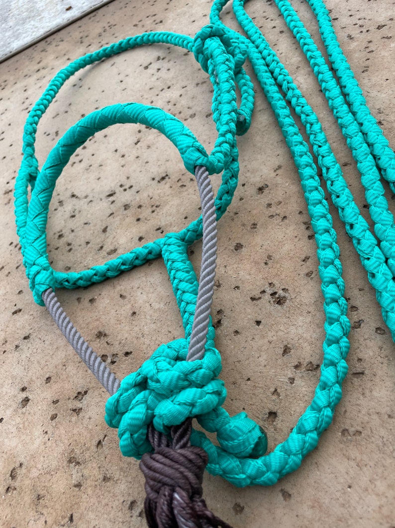 Mule Tape Horse Halter With Rope Noseband - Etsy