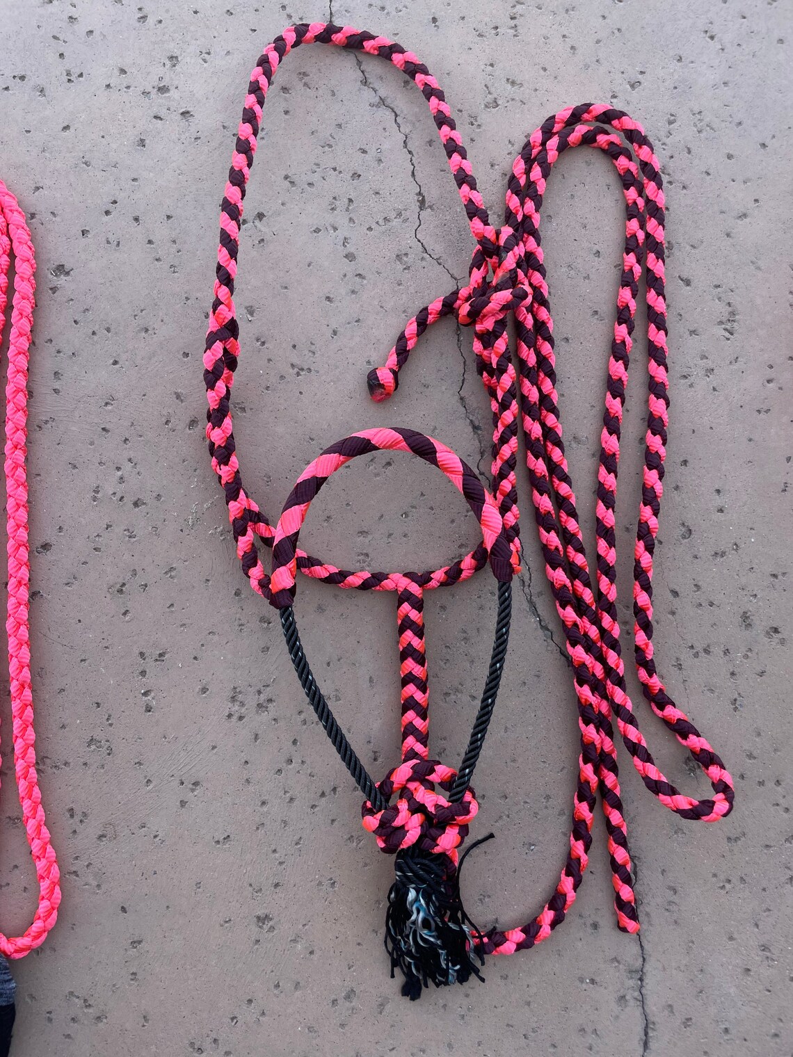 Mule Tape Horse Halter With Rope Noseband - Etsy