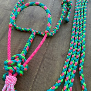 Turquoise Pink and Lime Mule Tape Horse Halter With Rope Noseband - Etsy
