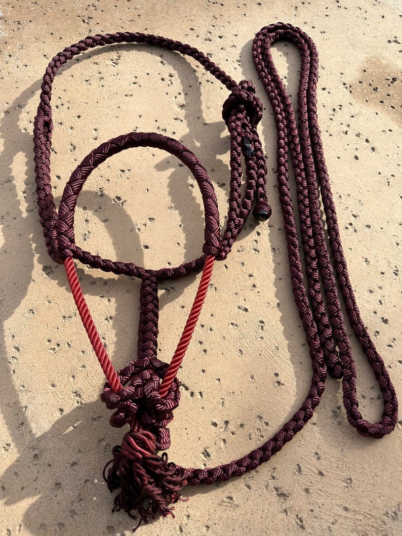 Mule Tape Horse Halter With Rope Noseband - Etsy